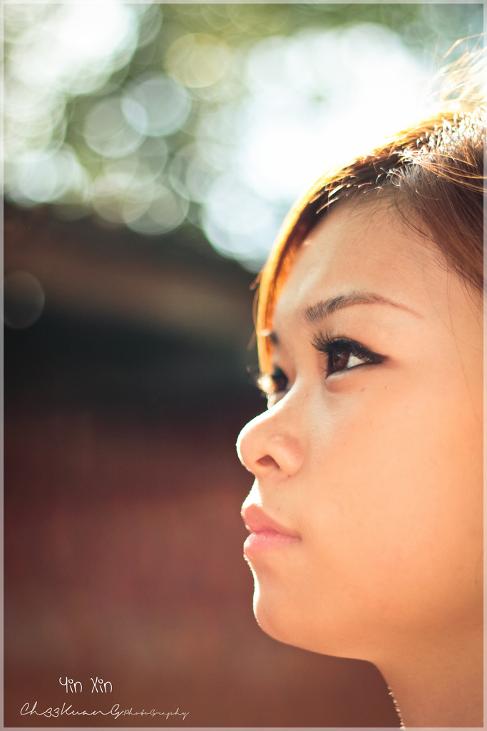 DCView 數位視野 - 作品發表區 - Yin Xin