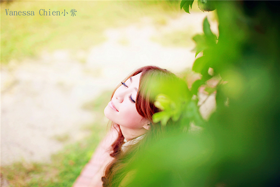 DCView 數位視野 - 作品發表區 - 牧場風情~Vanessa Chien 小紫